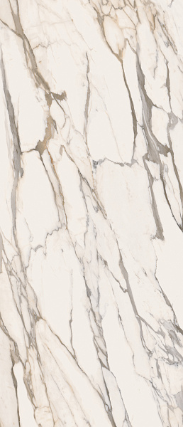 Calacatta Gold Honed